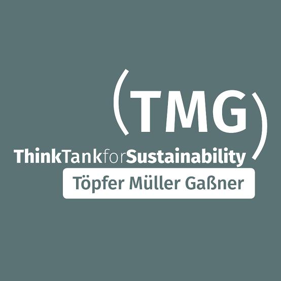 Consultancy: TMG Research Kenya
