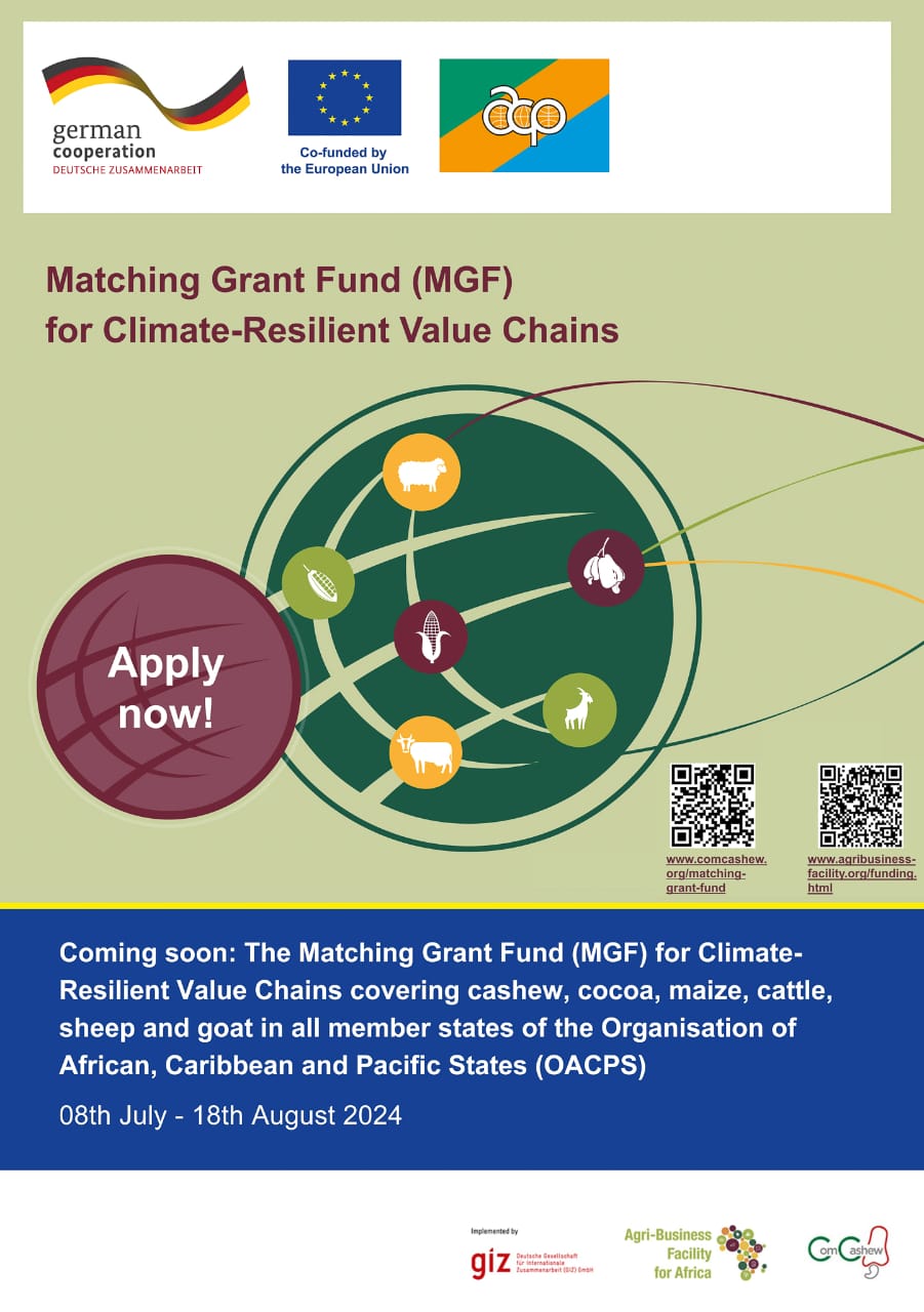 Ideas & Innovation: The Matching Grant Fund